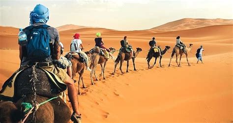 الدليل السياحي التونسي