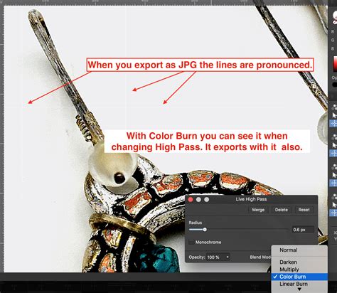 Bug Affinity Photo High Pass Filter Add Grid To Images V1 Bugs Found
