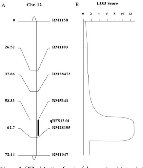 figure 5 from conjunctive analysis of bsa seq and ssr markers unveil