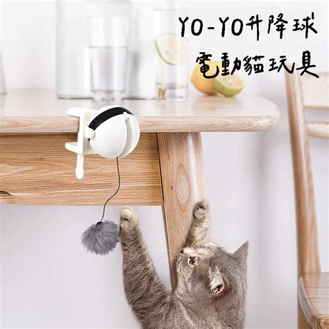 【yo Yo升降球電動貓玩具】逗貓球 貓咪玩物 台灣現貨 毛小孩 貓咪玩具 貓咪毛球 貓咪紓壓 電動毛球玩具 貓咪解嗨 蝦皮購物