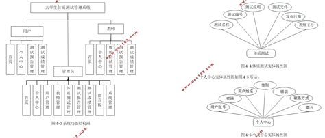 大学生体质测试管理系统的设计与实现springbootmysql含录像javaweb毕业设计论文网