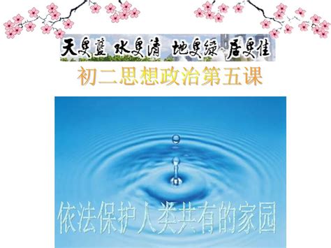 初二思想政治第五课 依法保护人类共有的家园 Ppt Download