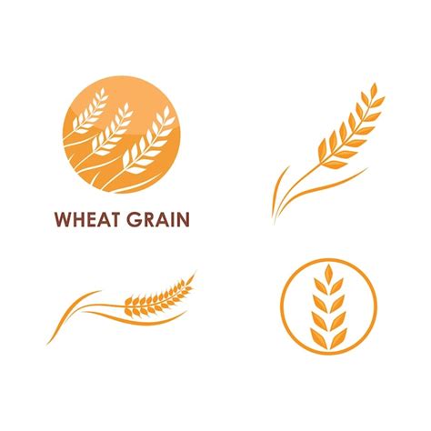 Premium Vector Wheat Illustration Design