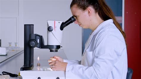 Video Monitoring Protein Aggregation Kinetics In Vivo Using Automated