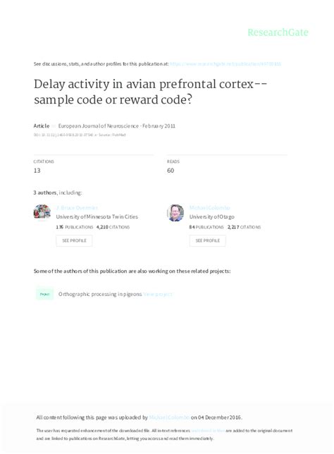 Pdf Delay Activity In Avian Prefrontal Cortex Sample Code Or Reward