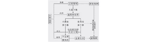 高中生物第7章第1节现代生物进化理论的由来教案新人教版必修20618149文档之家