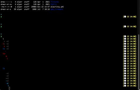 Installed But It Seems Misaligned Issue Starship Starship Github