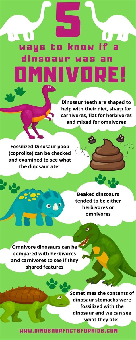What Did Omnivorous Dinosaurs Eat A To Z Dinosaurs