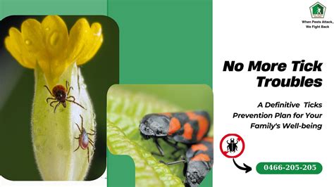 Ticks Prevention Tactics For Your Family Well Being