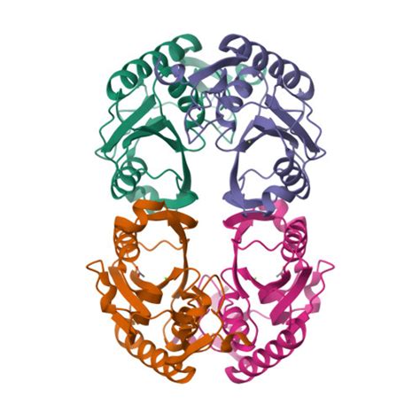 Rcsb Pdb 1r3u Crystal Structure Of Hypoxanthine Guanine