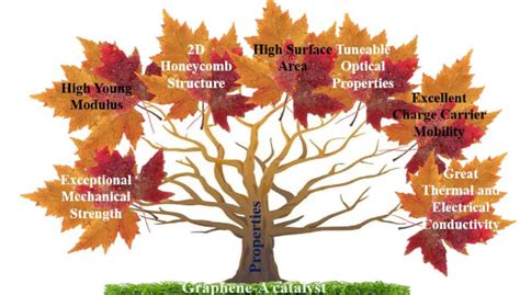 Diagrammatic Representation Of Multi Functional Properties Of Graphene
