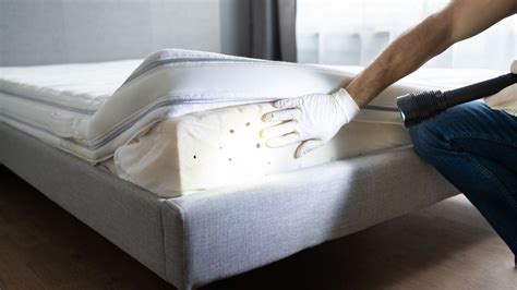 15 Ways How To Get Rid Of Bed Bug Bites Overnight Luxxe White