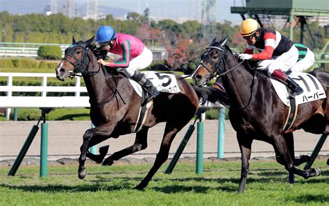 【2歳新馬評価】母がオークス馬のイングランドアイズ、スピード、持久力兼備横山和生騎手「心身が成長すれば」 Umatoku 馬トク