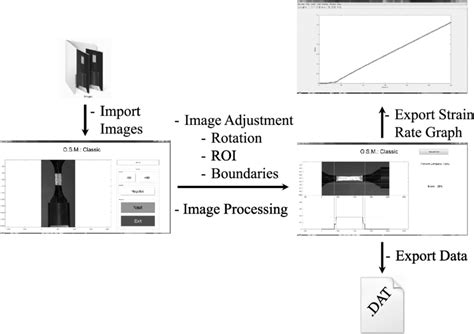 Illustration Of The Workflow For Determining The Strain Of A Specimen