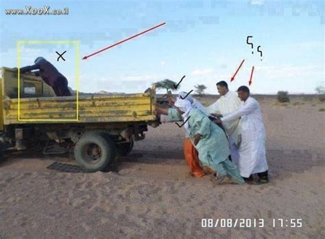 עבודת צוות תמונות מצחיקות תמונות פנאי ובידור תמונה מצחיקה עבודת צוות