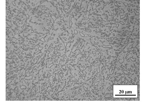 Tempered Martensite Microstructure