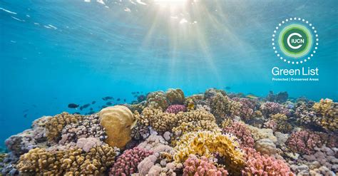 2025 Kicks Off With Growth Four New Sites Added To The Iucn Green List
