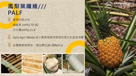 東和快訊鳳梨葉廢棄物華麗變身 冬暖夏涼機能紗線 東和紡織 環保機能短纖紡織專家