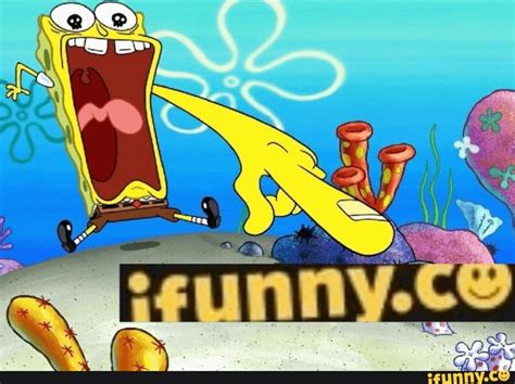 Womp Womp 33 Rfemboymemes