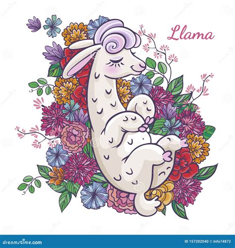 Beautiful Llama Alpaca Portrait With Flowers Frame Vector Sketch