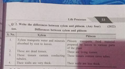 Life Processes 53 Q 2 Write The Differences Between Xylem And Phloem