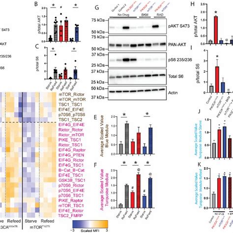 Activating Mutations Rescued By Targeted Drugs Patient Derived Human