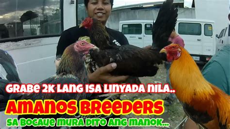 P LAZARO ST TIANGGEHAN SA BULACAN Kwality Mga Linyada Dito YouTube