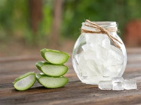 Skin Care Tips Aloe Vera Face Pack For Winters For Glowing And