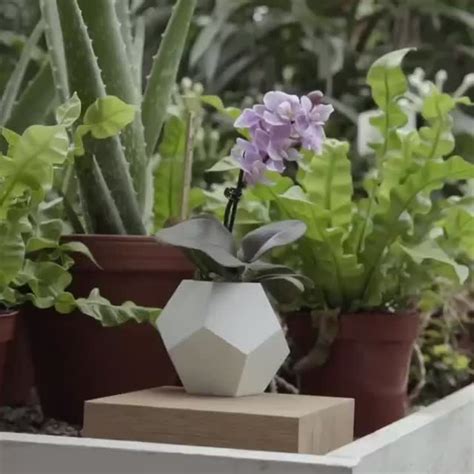 Raghunandan Dani On Linkedin Innovation Homedecor Homegardening