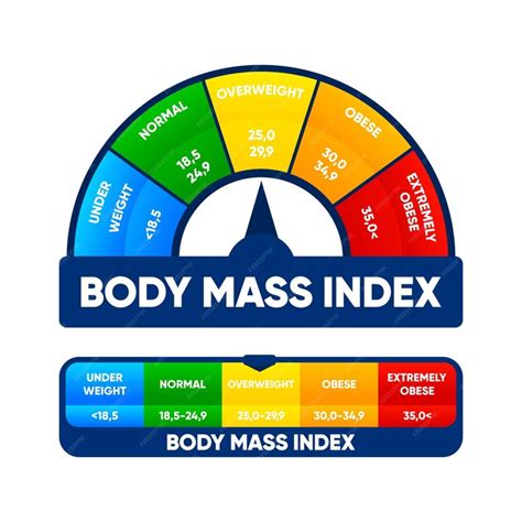 체질량 지수 체중 감량 개념 Bmi 척도 다이어트 및 피트니스 전후 건강한 라이프 스타일 프리미엄 벡터