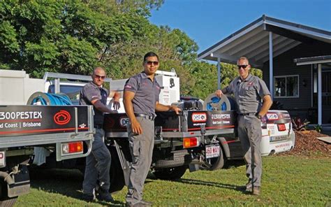 Termite Treatment Cost Australia Wide What Should It Cost
