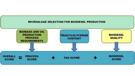 Selecting Best Microalgae For Biodiesel Produ Eurekalert