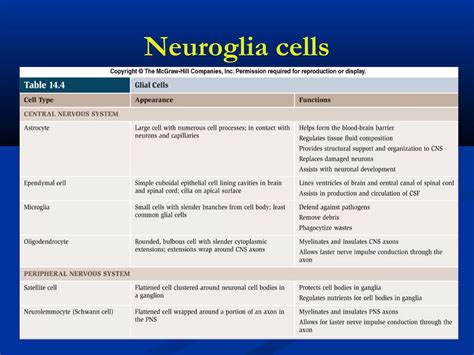 What Is Nervous Tissue Ppt Operating Systems Computer Software