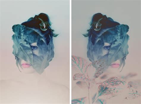 Astonishing Double Exposures Of Flowers By Lara Kiosses Freeyork