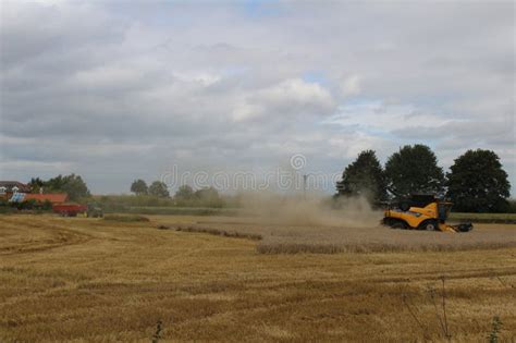 A Combine Harvester Harvesting A Crop Of Wheat In Later Summer In