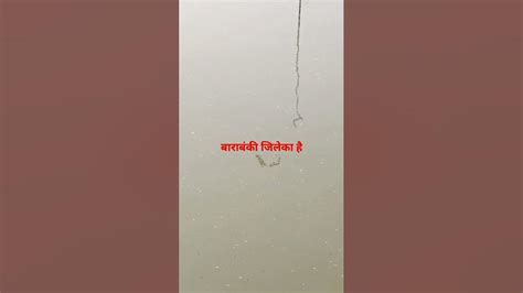 मछली पालन तालाब Youtube