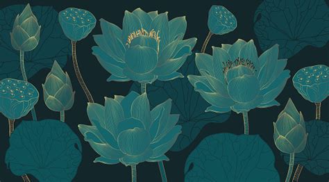 골든 라인과 에메랄드 그린 컬러의 럭셔리 한 연꽃 배경 디자인 벽지 자연 벽 예술 배너 인쇄 초대 및 포장 디자인에 대한 연꽃 라인 예술 디자인 0명에 대한 스톡 벡터 아트