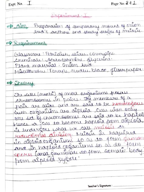 e7b meiosis practical writeup pdf