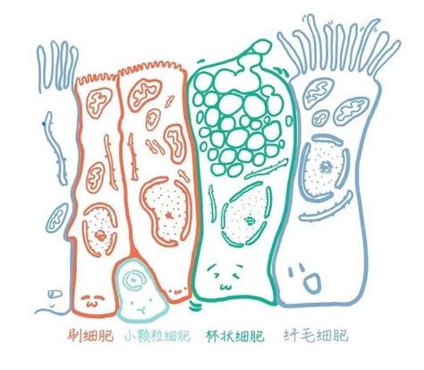 人体防御病毒的免疫力究竟是什么? 搜狐大视野 搜狐新闻 人体防御病毒的免疫力究竟是什么? 搜狐大视野 搜狐新闻
