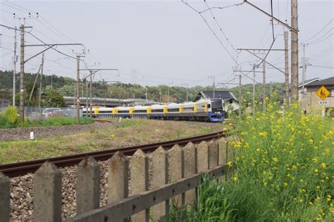内房線を行くさざなみ号 255系 kosukety blog