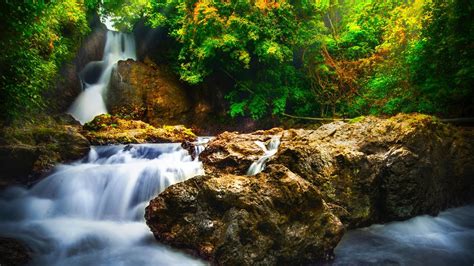 Relaxing Forest Nature Sounds For A Deep Sleep Beautiful Background