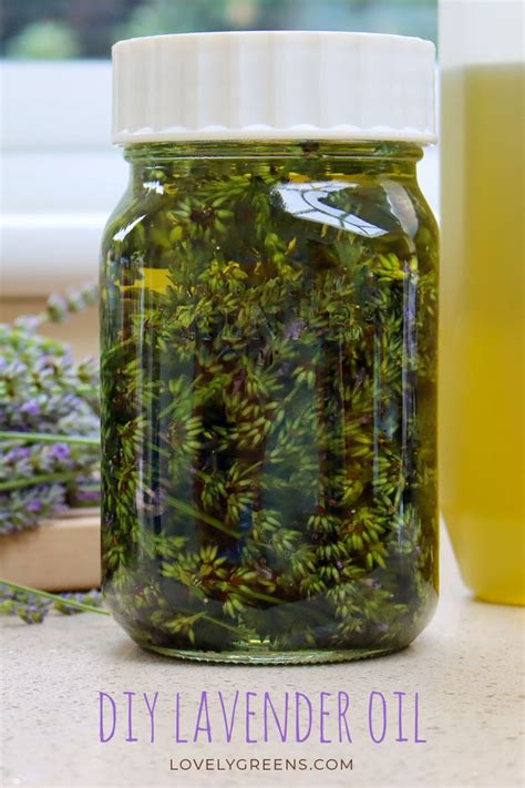 How To Make Lavender Oil A Step By Step Guide • Lovely Greens