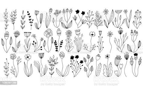 벡터 식물은 꽃과 허브 요소의 컬렉션입니다 격리 된 벡터 식물 분 지 및 잉크에 꽃 디자인을 스케치합니다 손으로 그린 식물 낙서