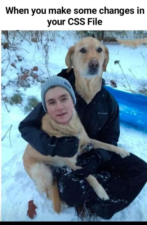 Syed Abdul Momin On Linkedin Css Is Not As Simple As It Seems Behind Every Perfectly Aligned