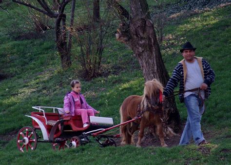 A Small Hourse By Anasimone On Deviantart