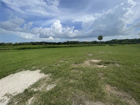 Grass Field Free Photo On Pixabay Pixabay