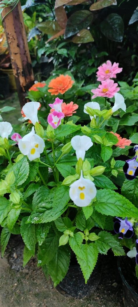 Madhan Kumar R Posted On Linkedin