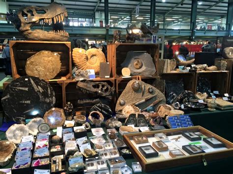 Our Stand This Weekend Red Rock Fossils
