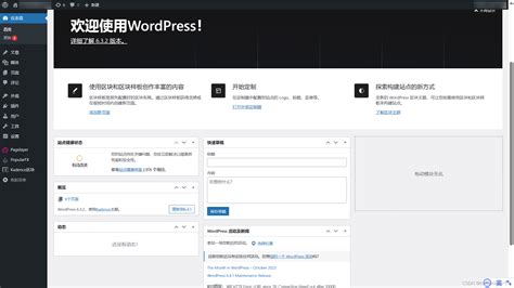 wordpress是什么？快速搭网站经验分享 csdn博客