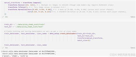 基于 pytorch 的迁移学习介绍 （图像分类实战演示） pytorch迁移学习 csdn博客